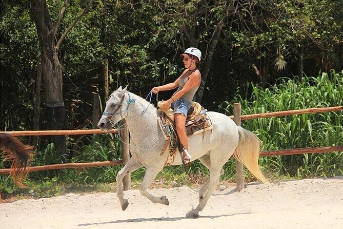 Full Day Adventure: Horses , ATV, Ziplines & Cenote w/Lunch - Key Points