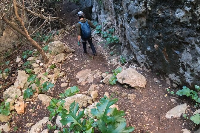 Full Day Adventure Trail Rock Climbing - Key Points