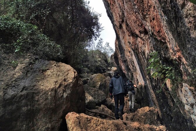 Full Day Adventure Trail Rock Climbing - Safety and Accessibility