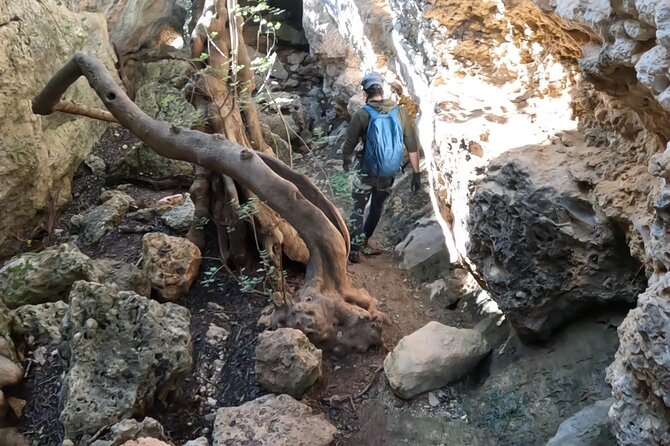 Full Day Adventure Trail Rock Climbing - The Thrill of Climbing and Rappelling