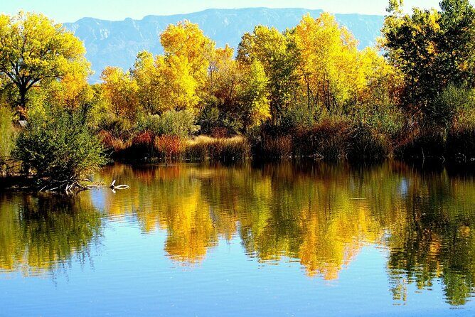 Full Day Albuquerque Tour (with Hotel Pickup) - The Sum Up: Is it worth it?