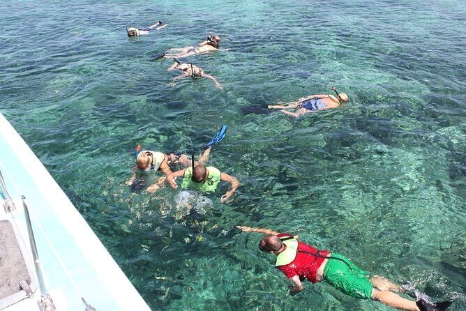 Full Day All Inclusive Sail & Snorkel with Turtles in Rose Island - Who Should Consider This Tour