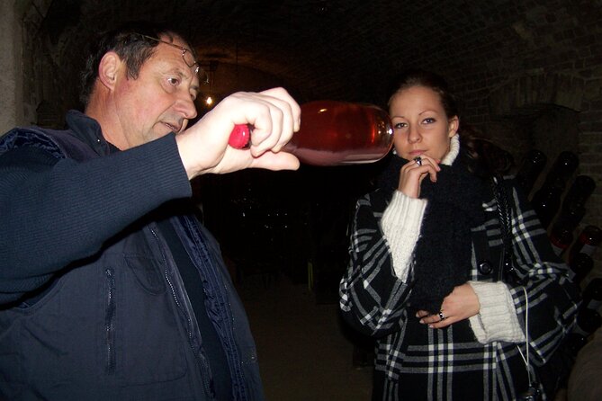 Full Day All-Inclusive Tour in Champagne From Paris in a Minivan - The Sum Up