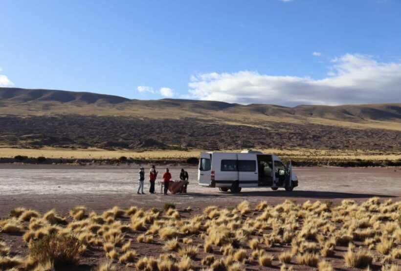 Full day Altiplanic Lagoons, Piedras Rojas and Chaxa Lagoon - Exploring the Natural Wonders of the Chilean Altiplano