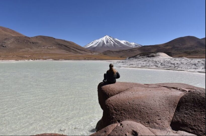 Full day Altiplanic Lagoons, Piedras Rojas and Chaxa Lagoon - Piedras Rojas: Red Rocks in a Stark Landscape