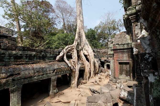 Full-day Angkor Private Tour - The Experience from Other Travelers’ Perspectives