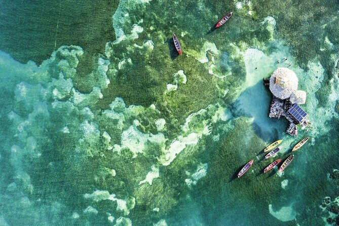 Full-Day Appleton Rum, YS Falls and Pelican Bar Private Tour - The Itinerary Breakdown: What Makes Each Stop Special