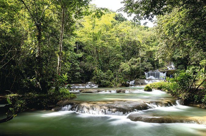 Full-Day Appleton Rum, YS Falls and Pelican Bar Private Tour - Summary: Who Will Love This Tour?
