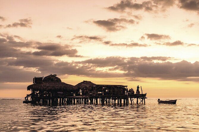 Full-Day Appleton Rum, YS Falls and Pelican Bar Private Tour - What’s Included and What’s Not