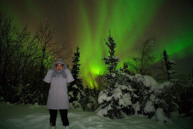 Full Day Arctic Circle Tour - FAQ