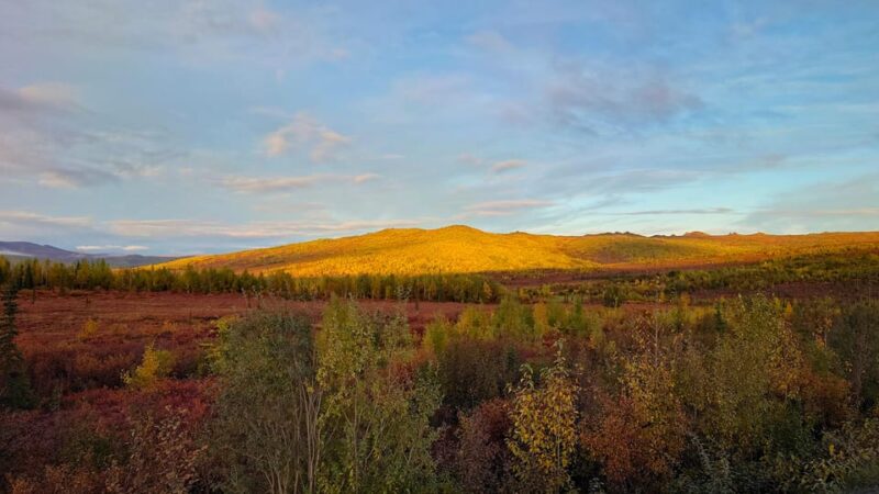 Full Day Arctic Circle Tour - The Sum Up