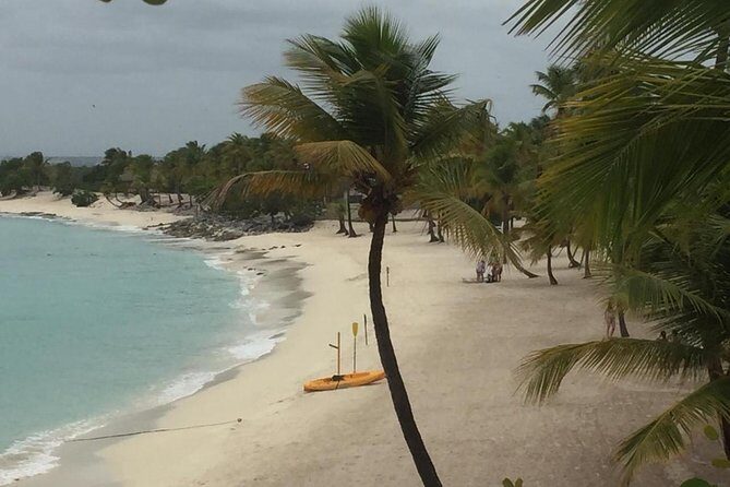 Full-day at Catalina Island from Santo Domingo with optional snorkeling included - Transportation and Timing: Making the Most of Your Day