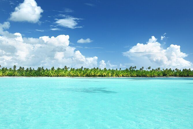 Full-day at Catalina Island from Santo Domingo with optional snorkeling included - Final Thoughts