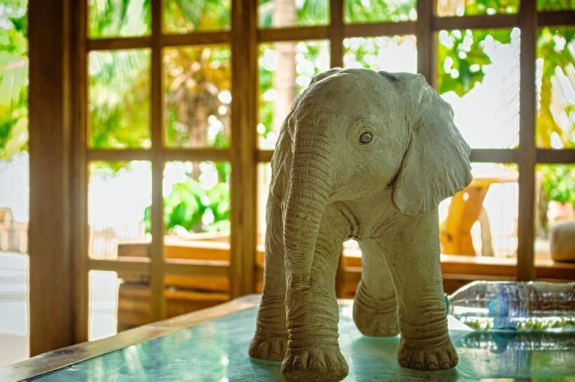 Full Day At Fenix Beach - A Detailed Look at the Fenix Beach Tour