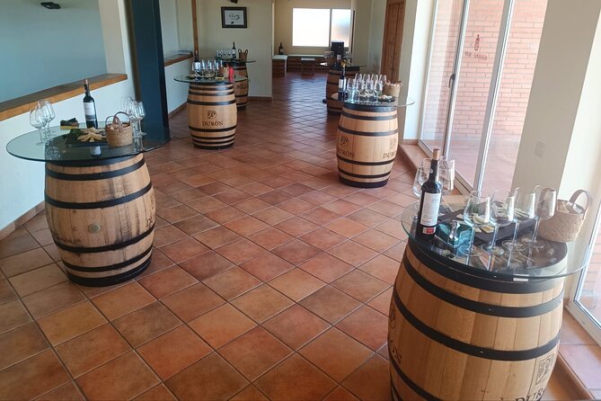 Full Day at the Winery, Visit, Tasting, Aperitif and Lunch - Winery Visit