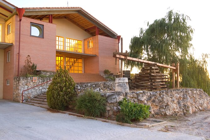 Full Day at the Winery, Visit, Tasting, Aperitif and Lunch - Aperitif and Lunch