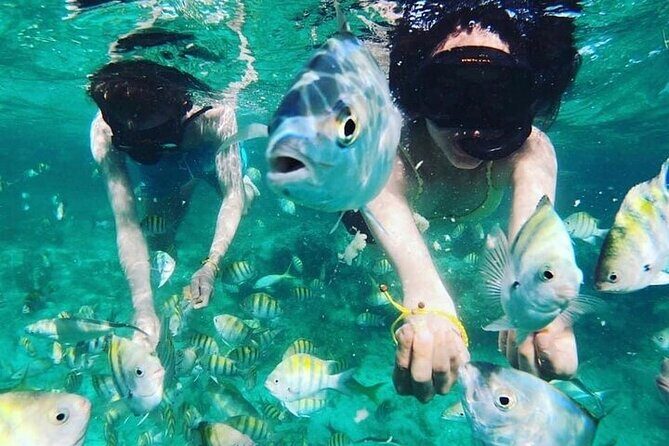 Full Day ATV, Coffee, Chocolate Tasting & Party Boat - What the Reviews Say