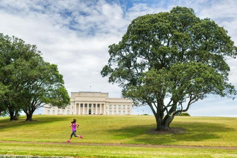 Full-day Auckland City & Rainforest Private Tour by Car - Exploring Auckland & Its Natural Wonders: What to Expect