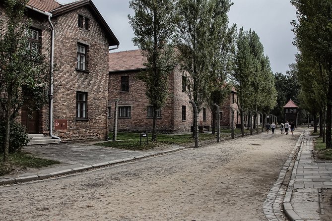 Full-Day Auschwitz and Birkenau Tour Review - Comparison to Alternative Tour Options