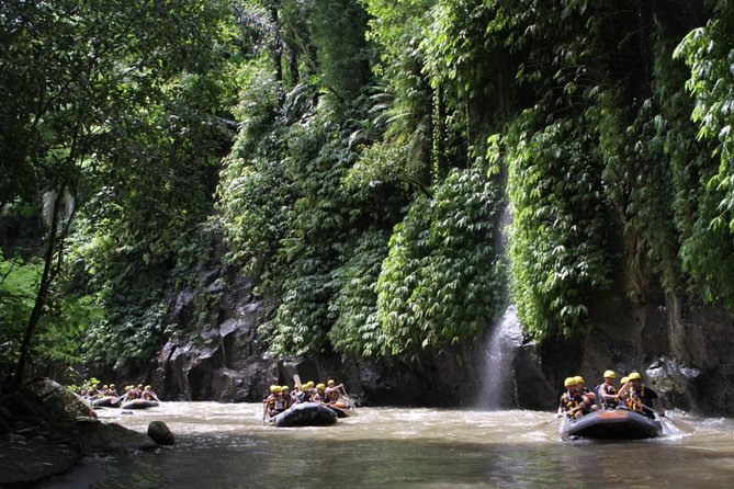 Full-Day Ayung River White Water Rafting and Ubud Tour - Practical Details and Value