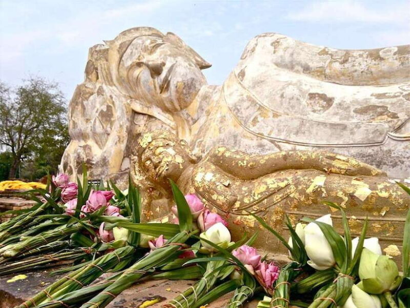 Full Day Ayutthaya Historical VIP Private Tour - Who Will Love This Tour?