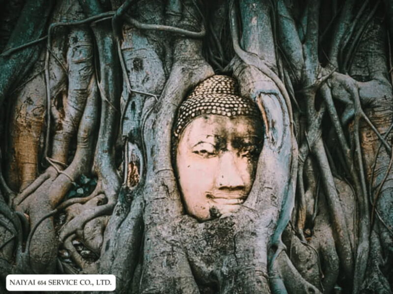 Full Day Ayutthaya & Wat Tha Ka Rong Floating Market - Key Points