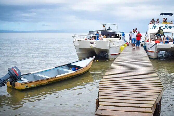 Full Day Bacardi Whale Watching - End Season March 30th - The Sum Up