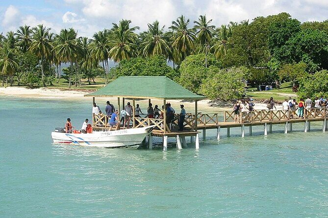 Full Day Bacardi Whale Watching - End Season March 30th - FAQ