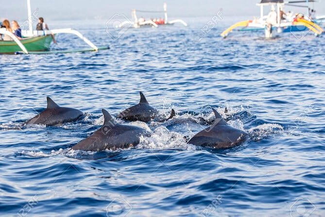 Full-Day Bali Highlights with Dolphin Tour - Key Points