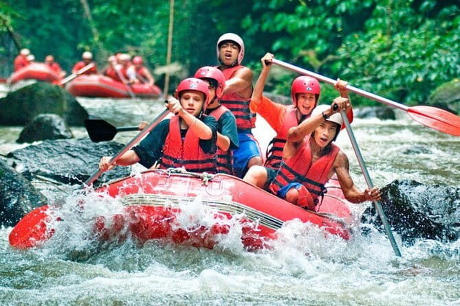 Full-Day Bali Highlights with Dolphin Tour - FAQ