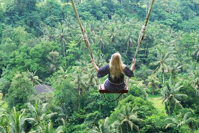 Full-Day Bali Private Customized Tours Create Your Itinerary - Transportation and Duration