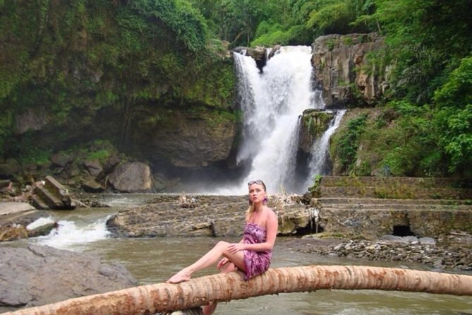 Full-Day Bali Private Customized Tours Create Your Itinerary - Who Will Love This Tour?