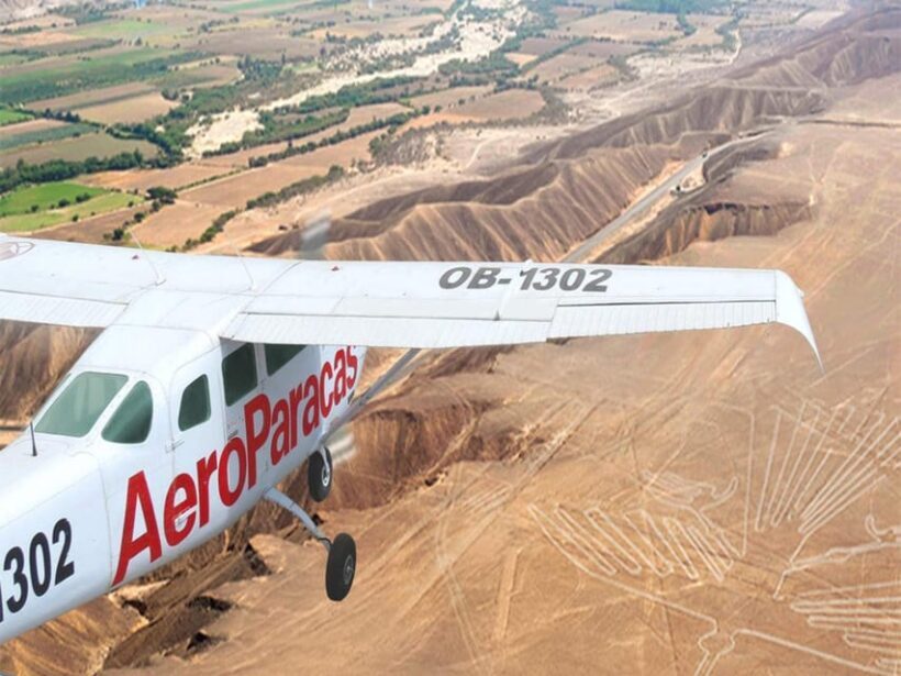 Full Day Ballestas Islands  Nasca-Nasca Lines Overflight - Analyzing the Value