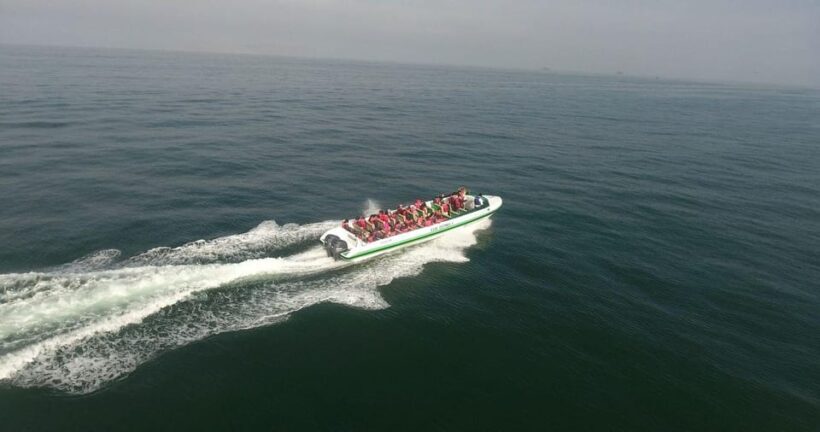 Full Day Ballestas Islands  Nasca-Nasca Lines Overflight - FAQ
