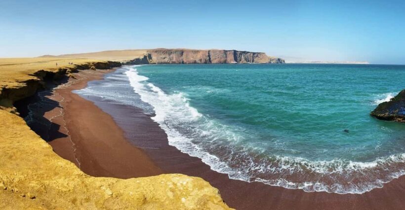 Full Day Ballestas Islands  Paracas National Reserve - Key Points