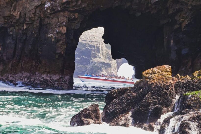 Full Day Ballestas  Overflight  Huacachina Tubulares tour - FAQs