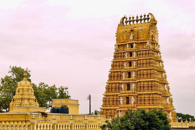 Full Day Bangalore Highlight City Tour - Transportation & Guides: Comfort & Insight