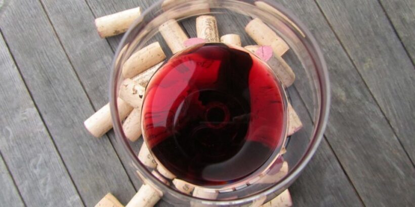 Full-Day Barbaresco Wine Tour with Truffle Hunting and Lunch - An In-Depth Look at the Tour Itinerary