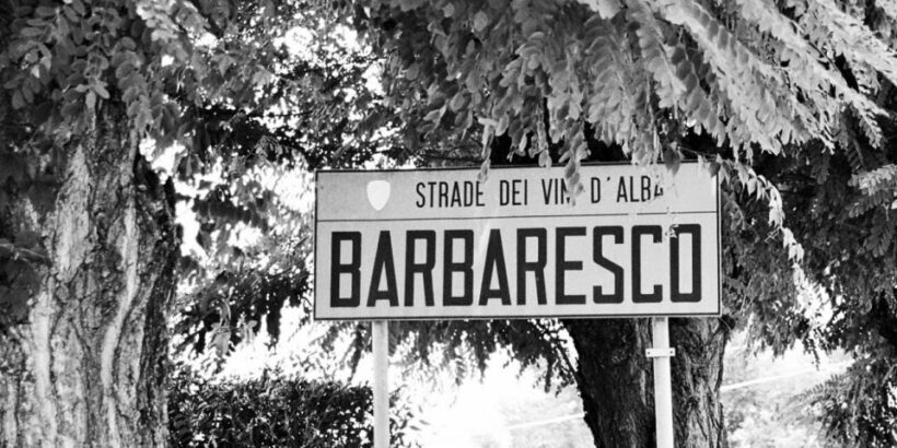 Full-Day Barbaresco Wine Tour with Truffle Hunting and Lunch - What Makes This Tour Stand Out?