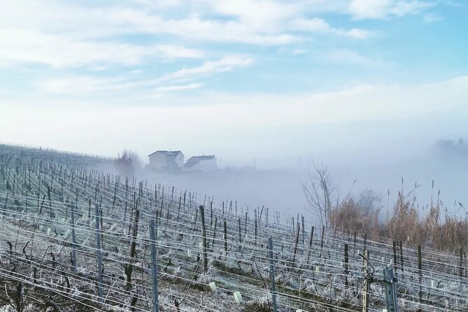 Full Day Barolo&Barbaresco Wine Tour From Milano With a Local Winemaker - Why Choose This Tour?