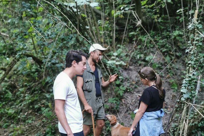 Full Day Barolo&Barbaresco Wine Tour From Torino With a Local Winemaker - Taking in the Winemaking Culture of Piemonte