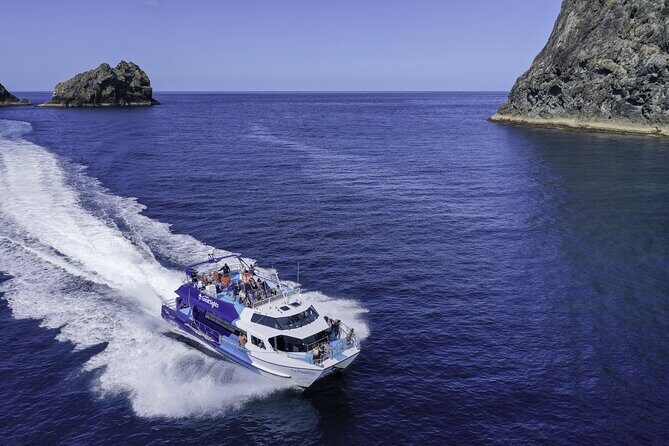 Full-Day Bay of Islands Tour by Vigilant Yacht Charters - The Water Activities: Kayaking and Snorkeling