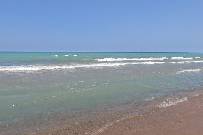 Full-Day Beach Day at Grand Bend - An In-Depth Look at the Tour Experience