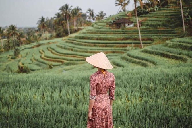 Full Day : Bedugul Temple - UNESCO Rice Terrace - Tanah Lot Temple - What’s Included and What’s Not