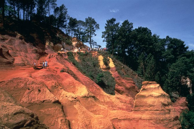 Full Day Best of Provence Tour From Avignon - Traveler Experience and Reviews