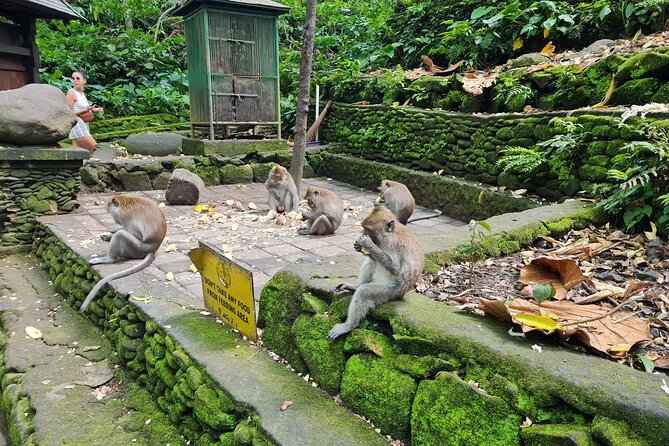 Full Day Best of Ubud Private Tour - Practical Insights and Value