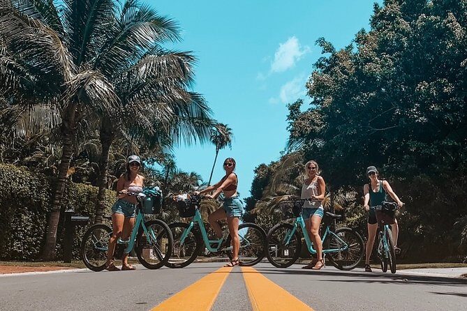 Full Day Bicycle Rental - The Sum Up