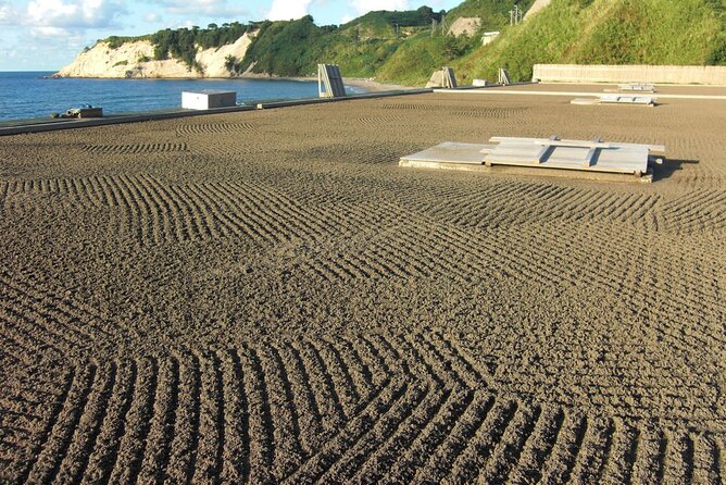 Full-Day Bicycle Tour on the Noto Peninsula - Tour Schedule