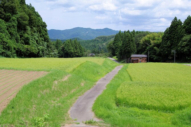 Full-Day Bicycle Tour on the Noto Peninsula - Accessibility and Fitness Requirements