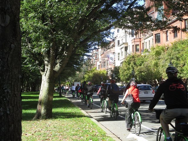 Full Day Bike Rental - A Closer Look at the Experience